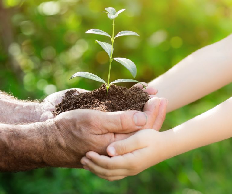 Legacy Giving | United Way Regina